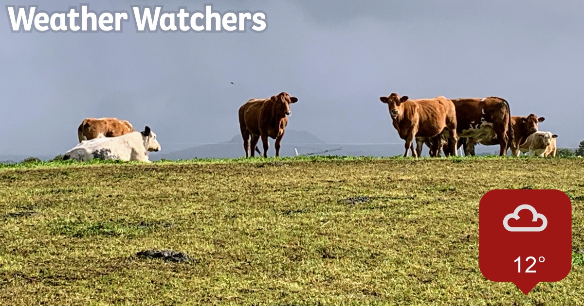 Report - BBC Weather Watchers