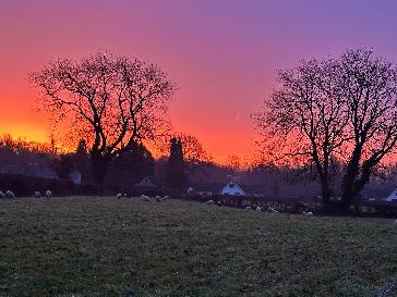 Cardiff - BBC Weather