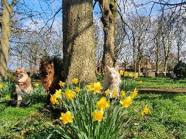 Pontefract - BBC Weather