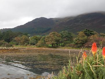 Downpatrick - BBC Weather