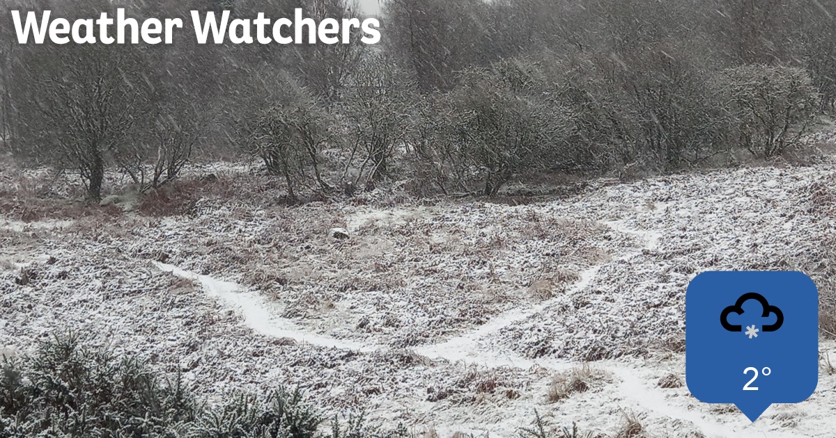 Report - BBC Weather Watchers