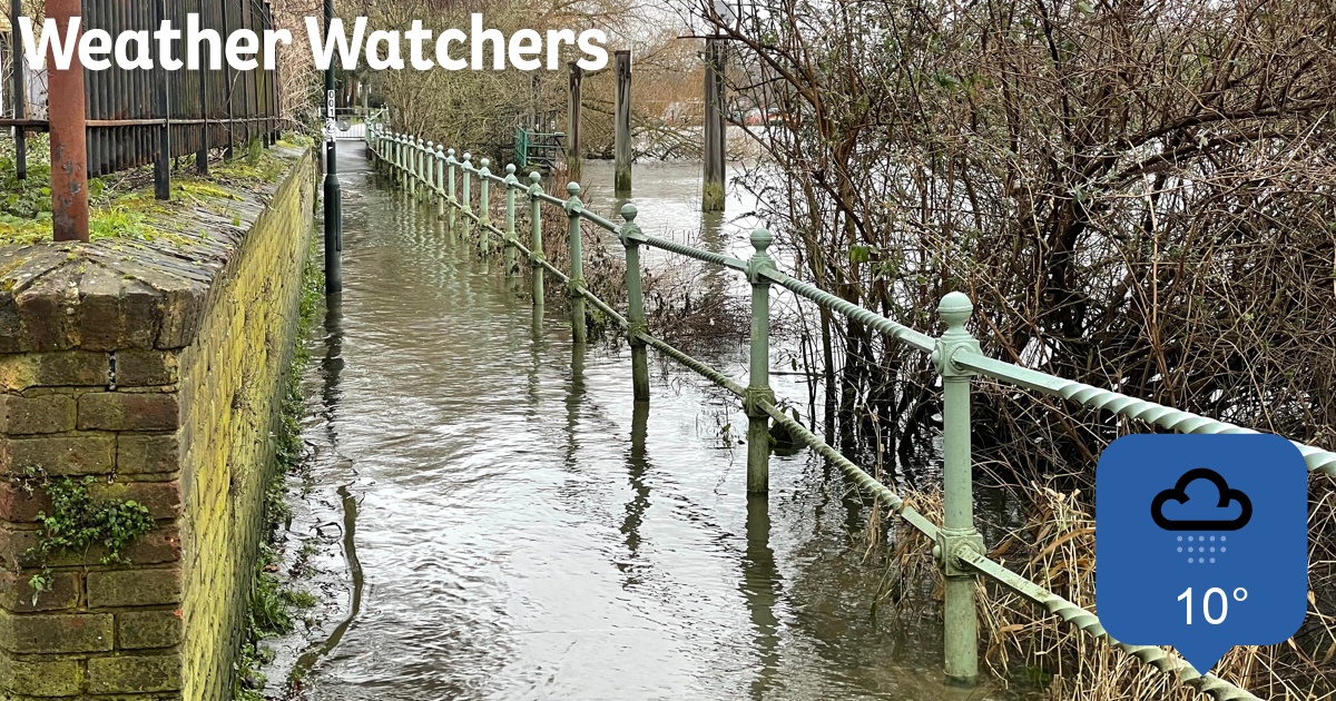 Report - BBC Weather Watchers