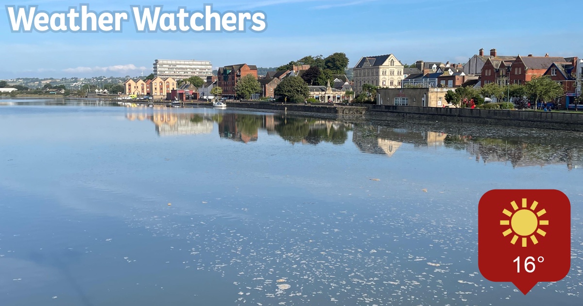 Report - BBC Weather Watchers