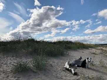 St Andrews - BBC Weather