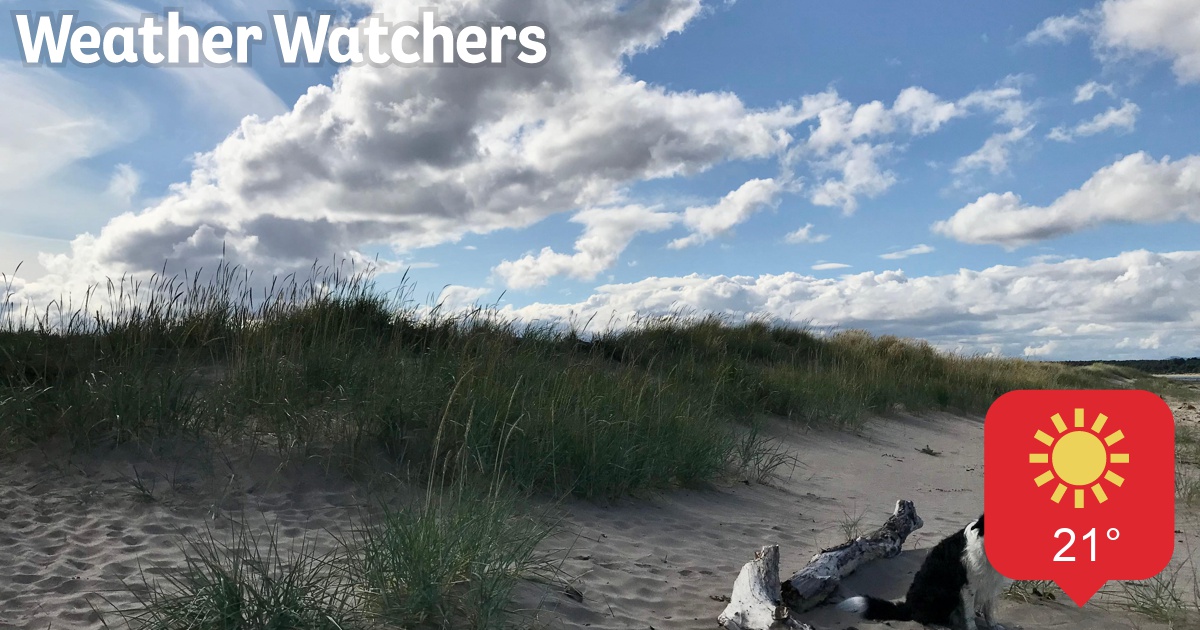 Report - BBC Weather Watchers