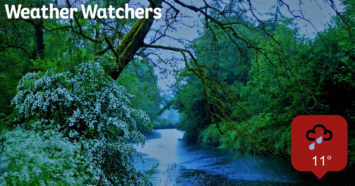 Report - BBC Weather Watchers
