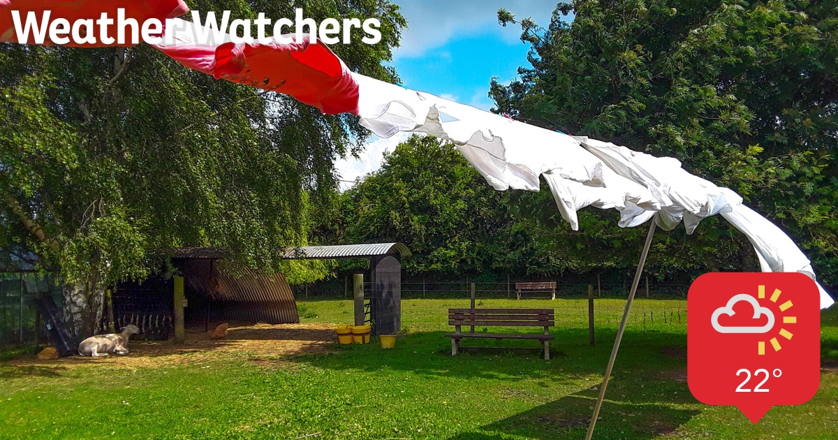 Report - BBC Weather Watchers