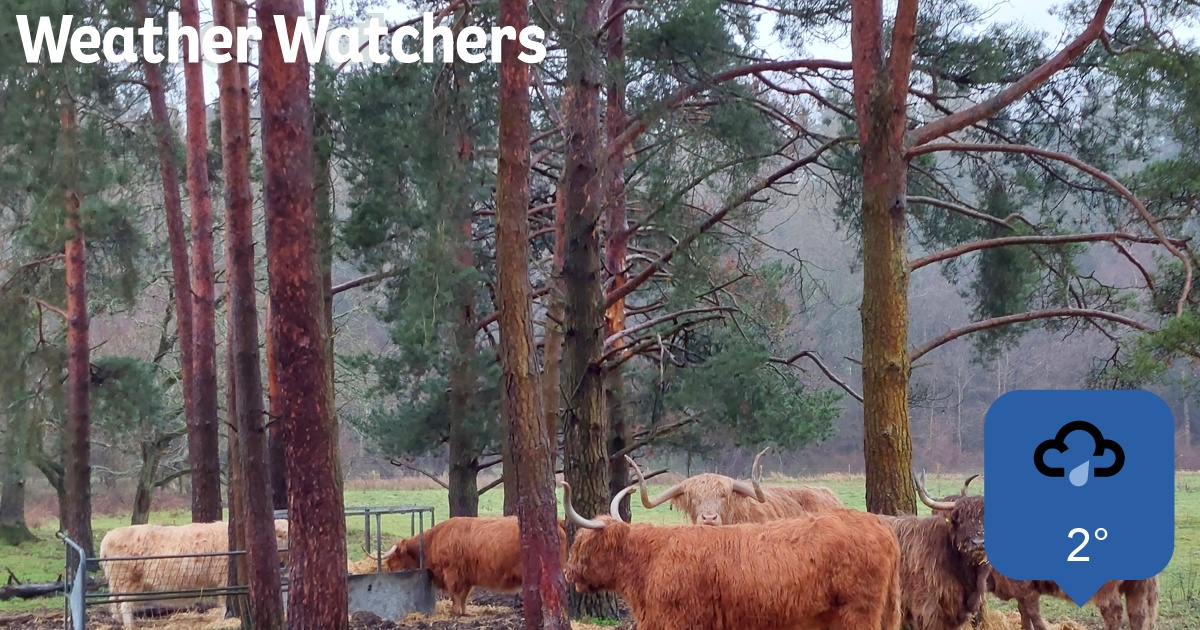 Report - BBC Weather Watchers
