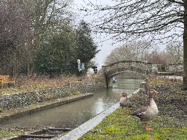 Crawley - BBC Weather