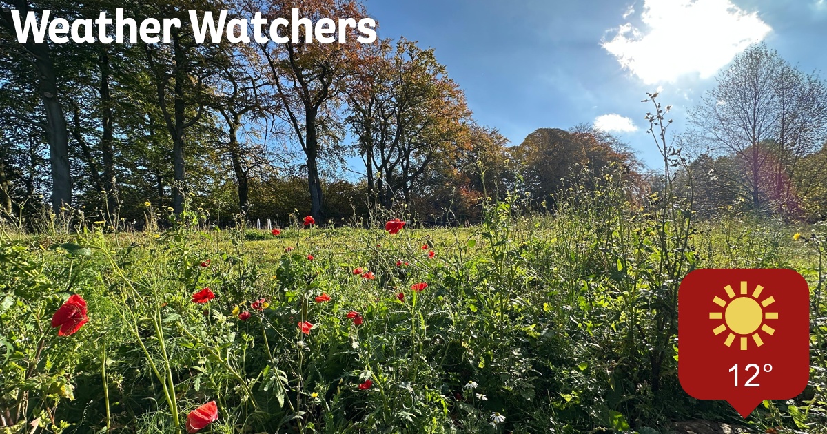Report - BBC Weather Watchers