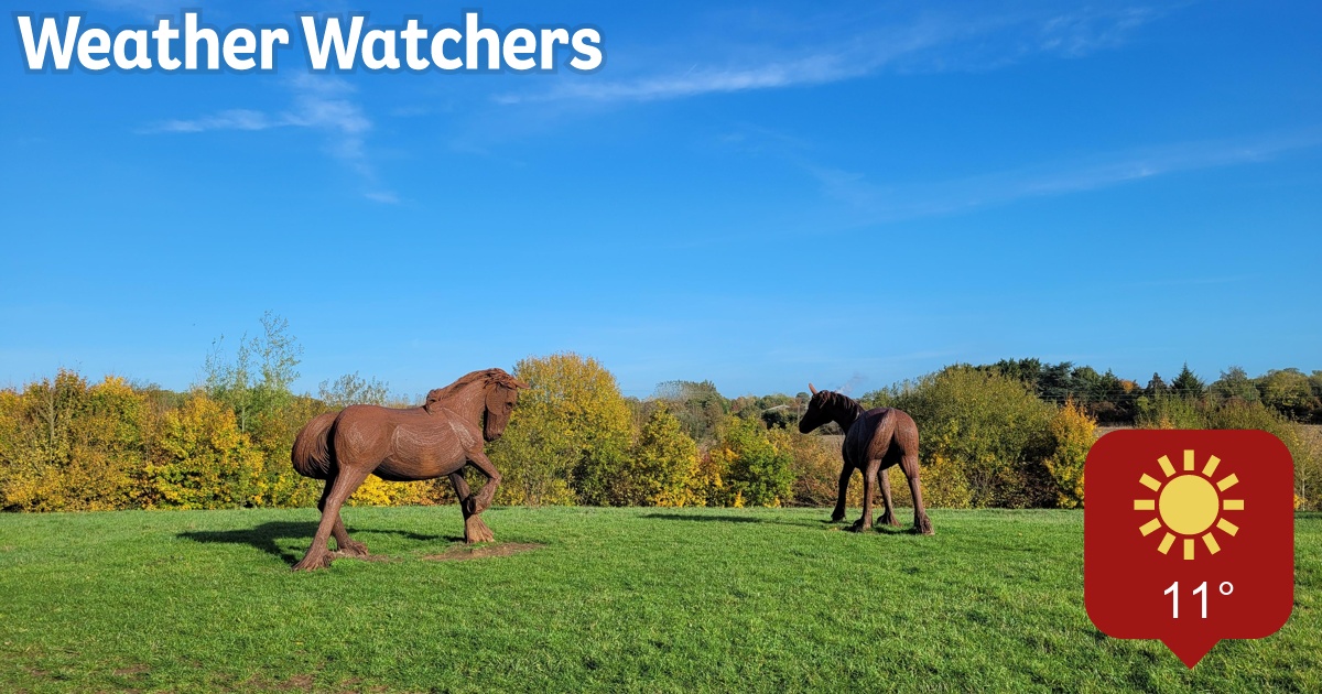 Report - BBC Weather Watchers