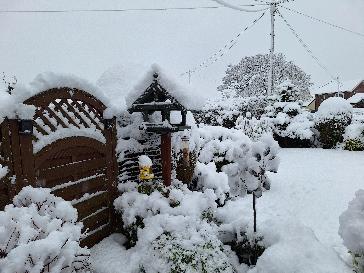 Holywell - BBC Weather