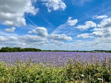 Swindon - BBC Weather