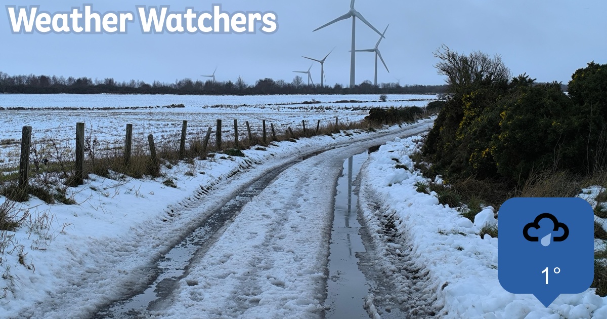 Report - BBC Weather Watchers