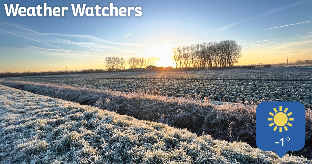 Report - BBC Weather Watchers