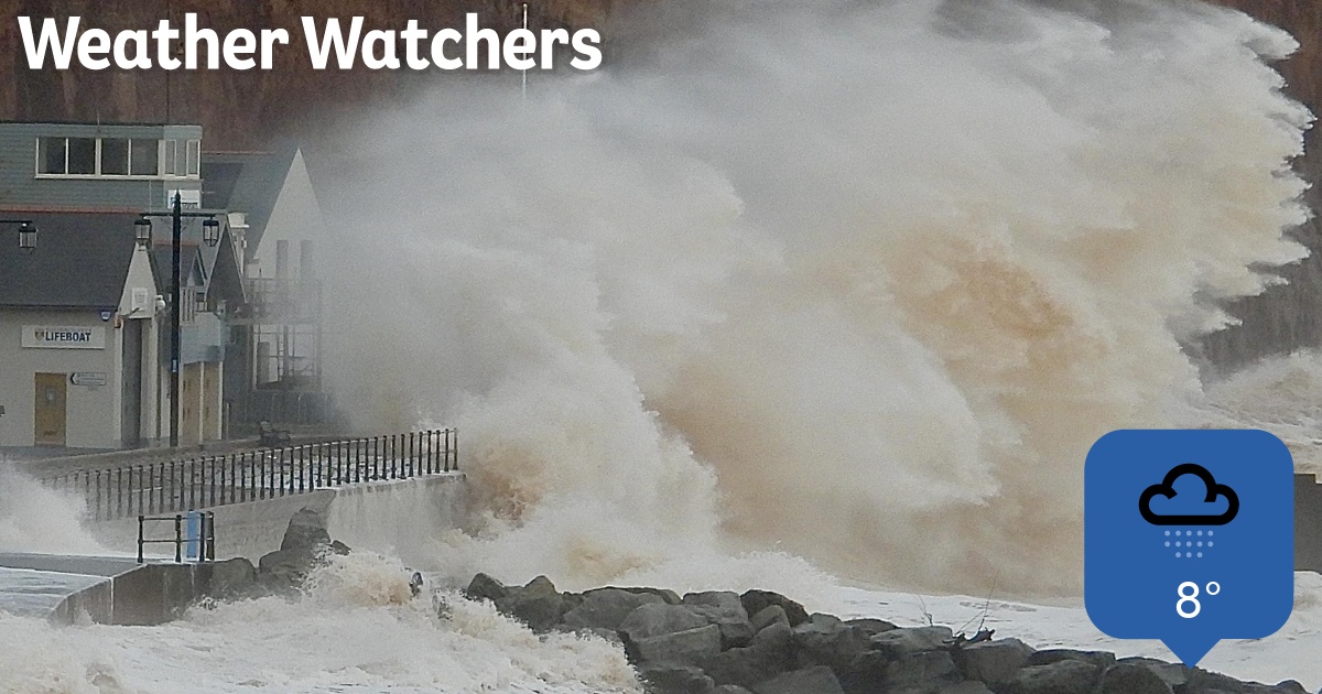 Report - BBC Weather Watchers
