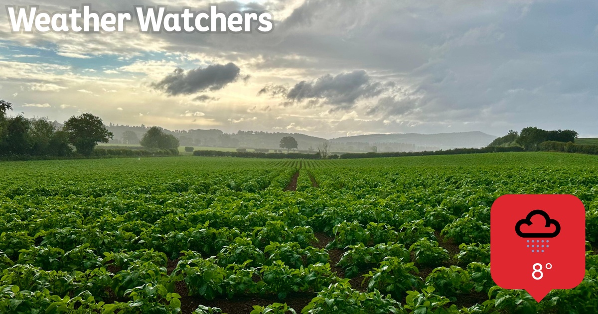 Report - BBC Weather Watchers