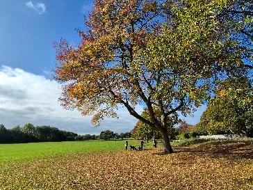 Mildenhall - BBC Weather