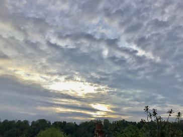 Camberley - BBC Weather