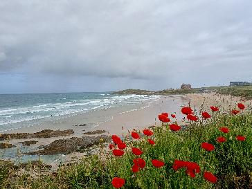 St Austell - BBC Weather