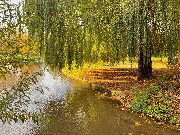 Warminster - BBC Weather