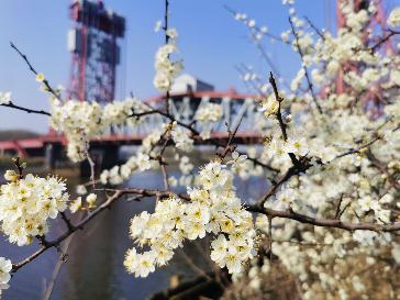 Middlesbrough - BBC Weather
