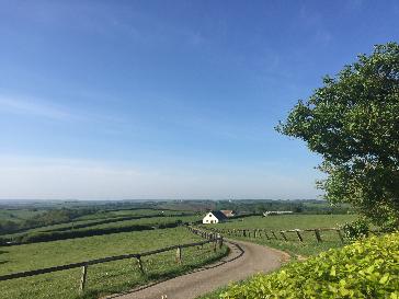 Exeter - BBC Weather