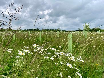 Coventry - BBC Weather