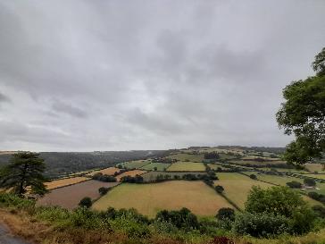 Exeter - BBC Weather