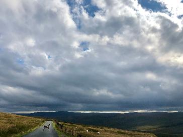 Harrogate - BBC Weather