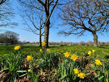 Mildenhall - BBC Weather