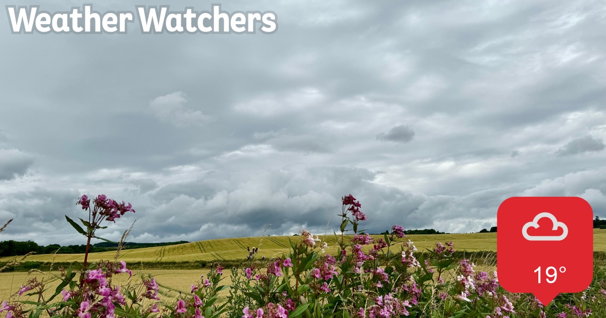 Report - BBC Weather Watchers