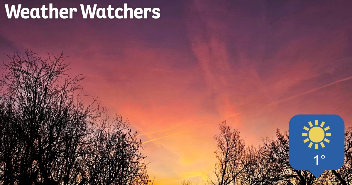 Report - BBC Weather Watchers