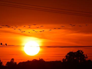 Nuneaton - BBC Weather