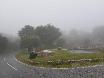 Ringwood - BBC Weather