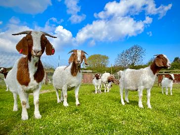 Norwich - BBC Weather