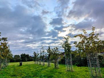 Warrington - BBC Weather