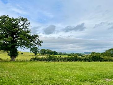 Denbigh - BBC Weather