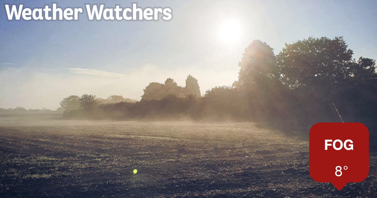 Report - BBC Weather Watchers