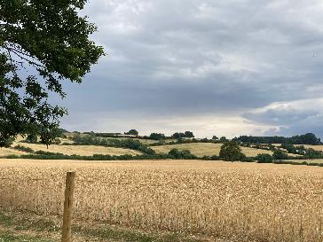 Worcester - BBC Weather