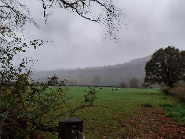 Bridgend - BBC Weather