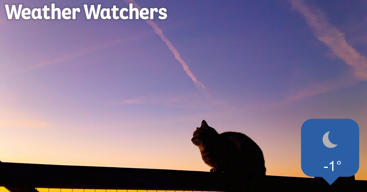 Report - BBC Weather Watchers