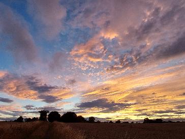 Sutton Coldfield - BBC Weather