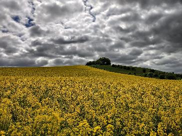 Trowbridge - BBC Weather