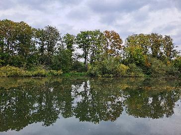 Crawley - BBC Weather