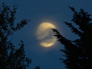 Nuneaton - BBC Weather