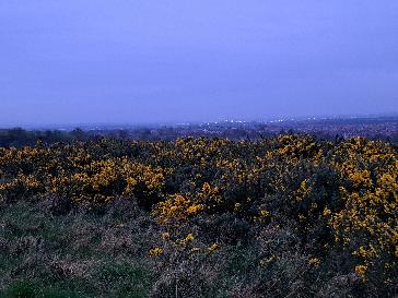 Newcastle upon Tyne - BBC Weather