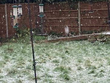 Barking - BBC Weather