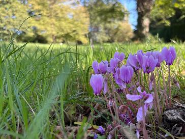 Redditch - BBC Weather