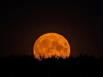 Trowbridge - BBC Weather